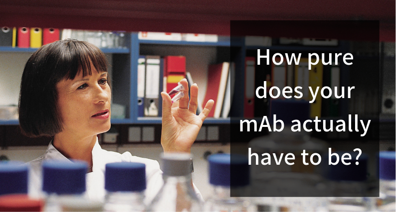 mAb Purification – an overview of the essentials