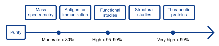 Some general tips on protein purification strategy