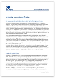 How to recognize an efficient protein A resin for mAbs