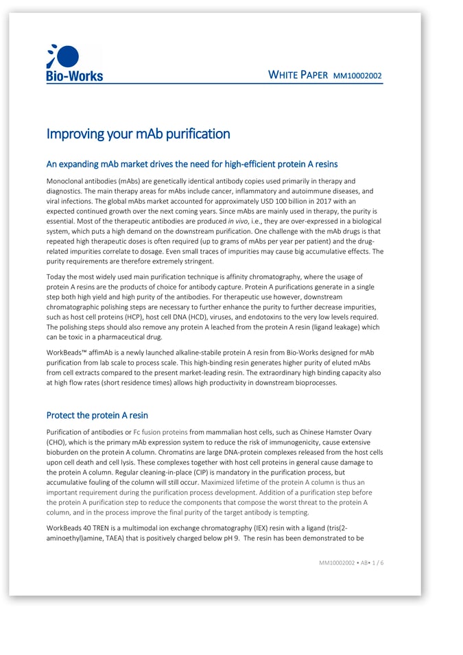 mAb Purification – an overview of the essentials